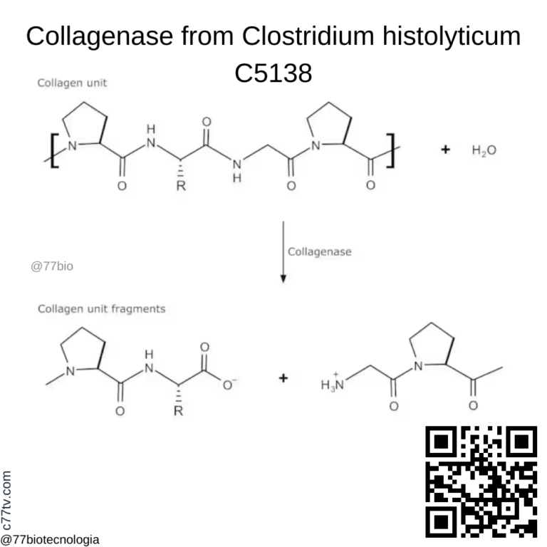 Collagenase from Clostridium histolyticum - 1 G - Labtrade do Brasil